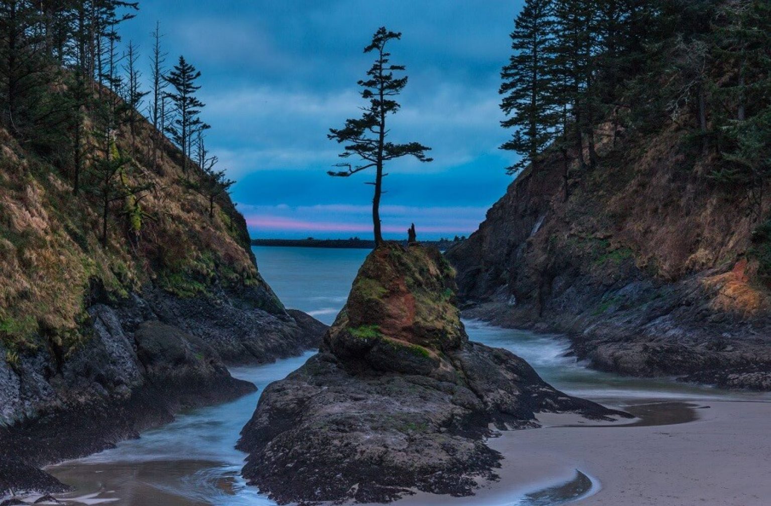 15 Best Beaches in Washington (Pictures) | Quick Stuffs